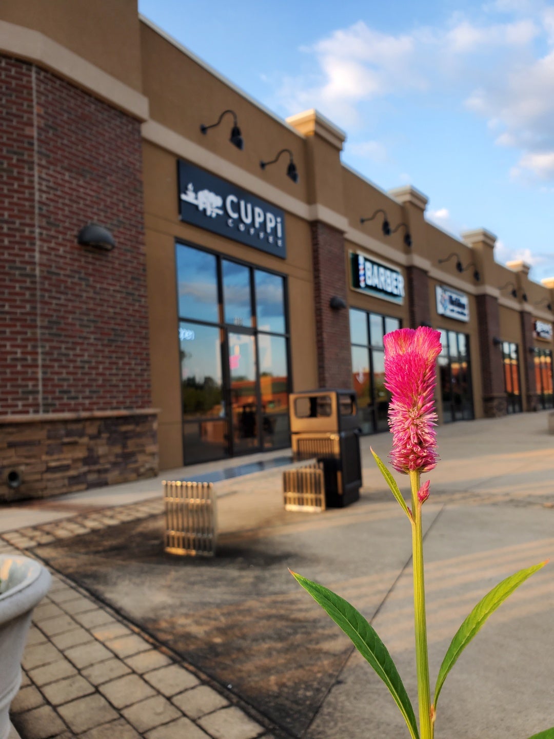 Order Online | CUPPi COFFEE